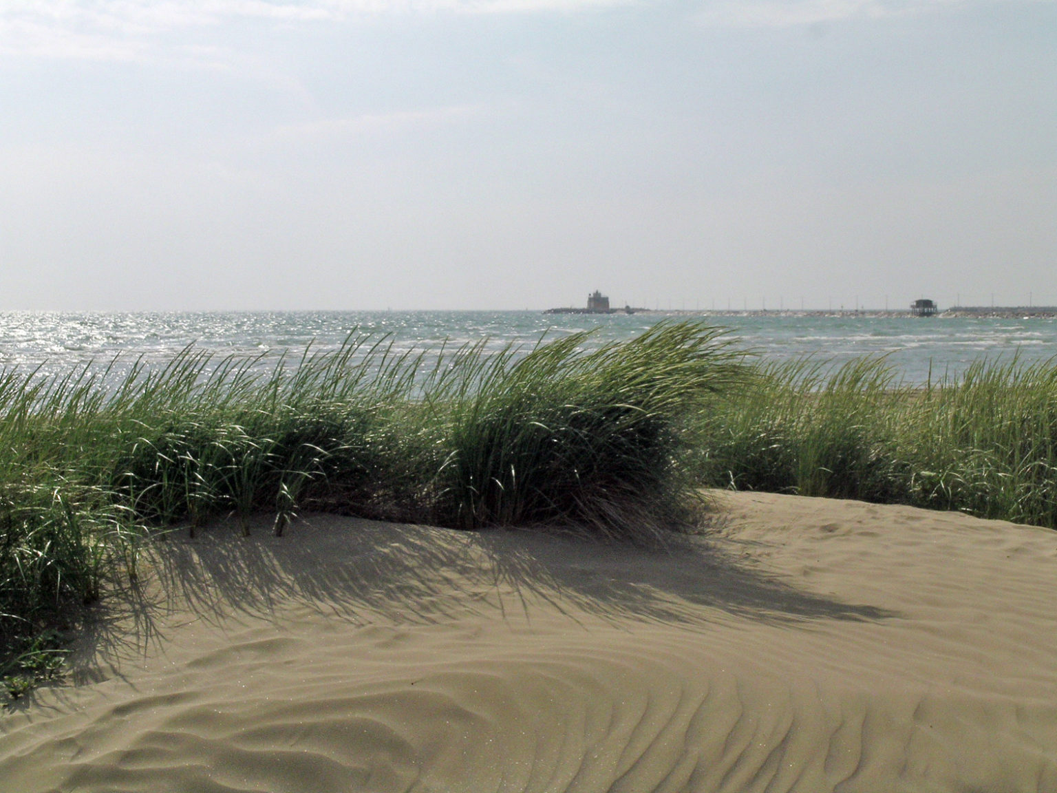 La spiaggia degli Alberoni - LHost in Venice