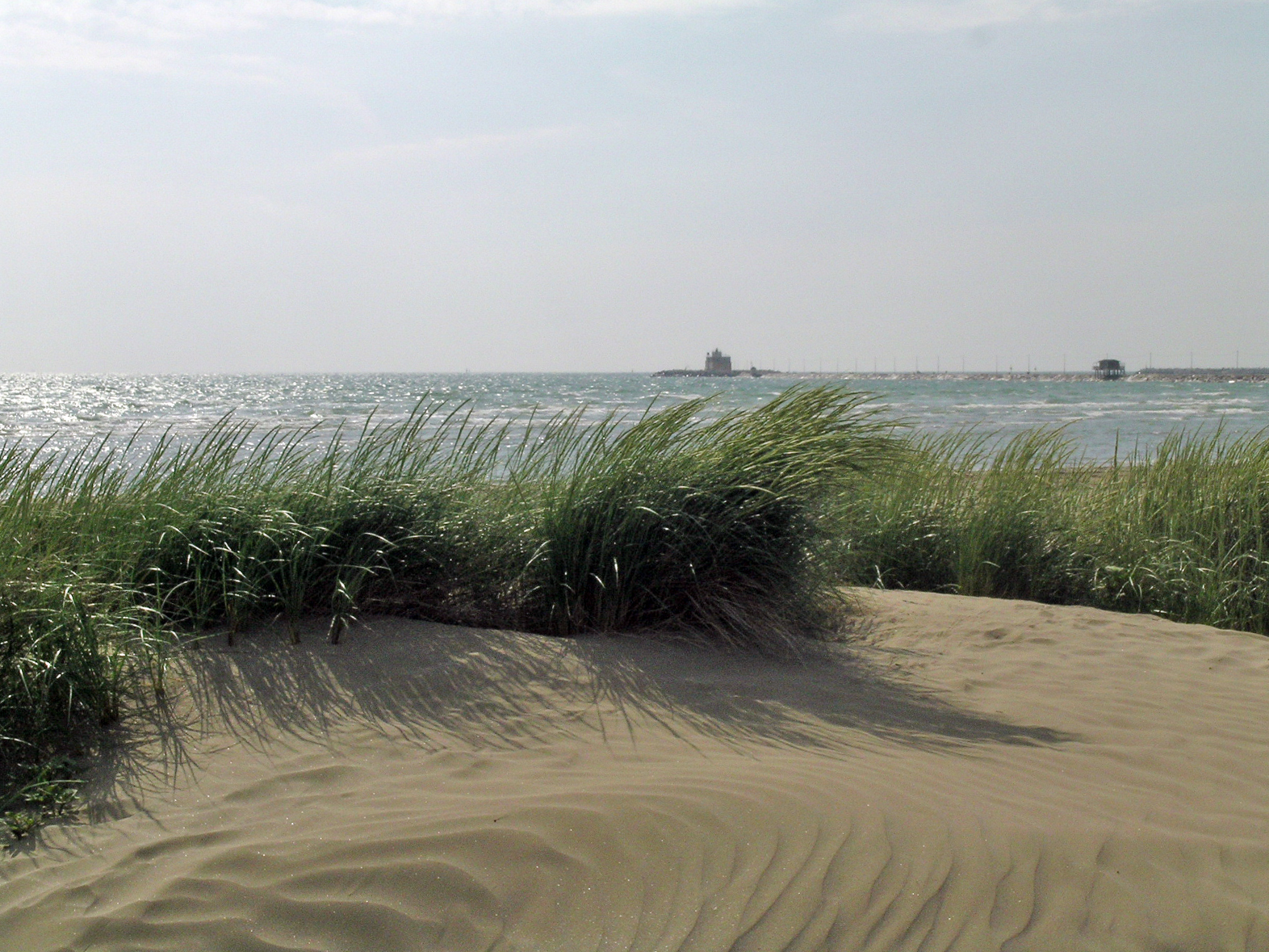 La spiaggia degli Alberoni - LHost in Venice